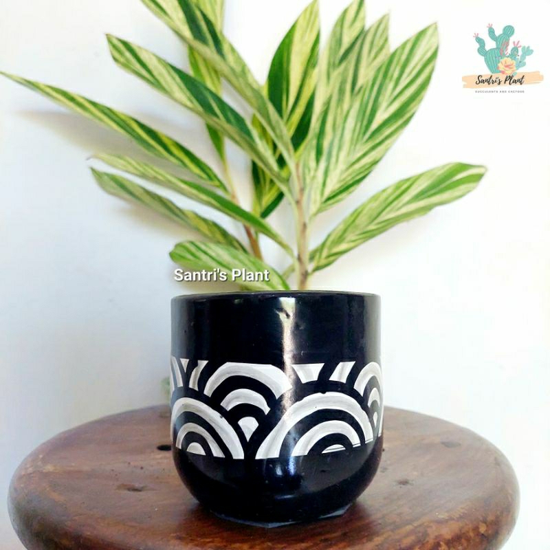 Jual PREMIUM | Pot Gerabah Lukis | Pot Lukis | Pot Terracota | Pot Unik ...