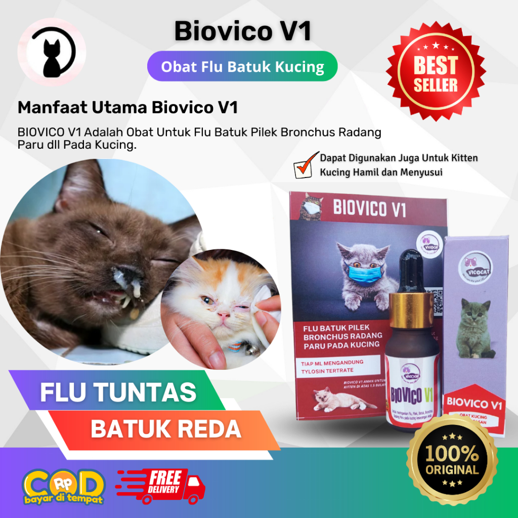 Jual obat flu kucing ampuh BIOVICO V1 mengatasi pilek batuk demam ...