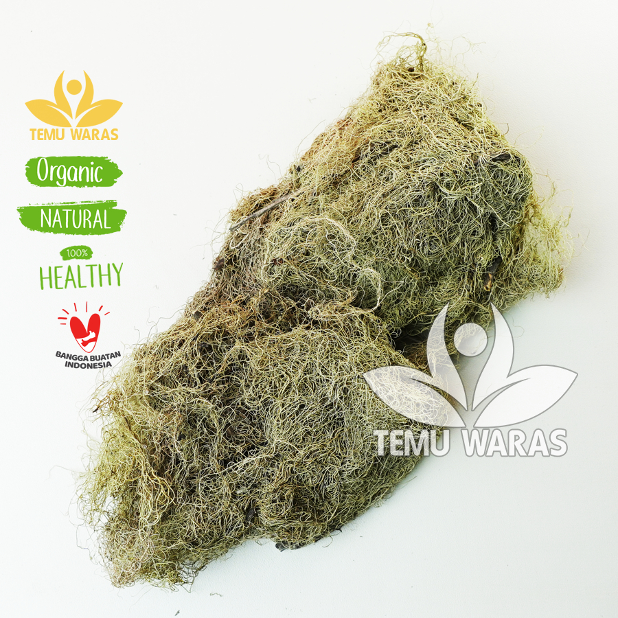 Jual Akar Angin 500 gr atau Tahi Angin Kering | Shopee Indonesia