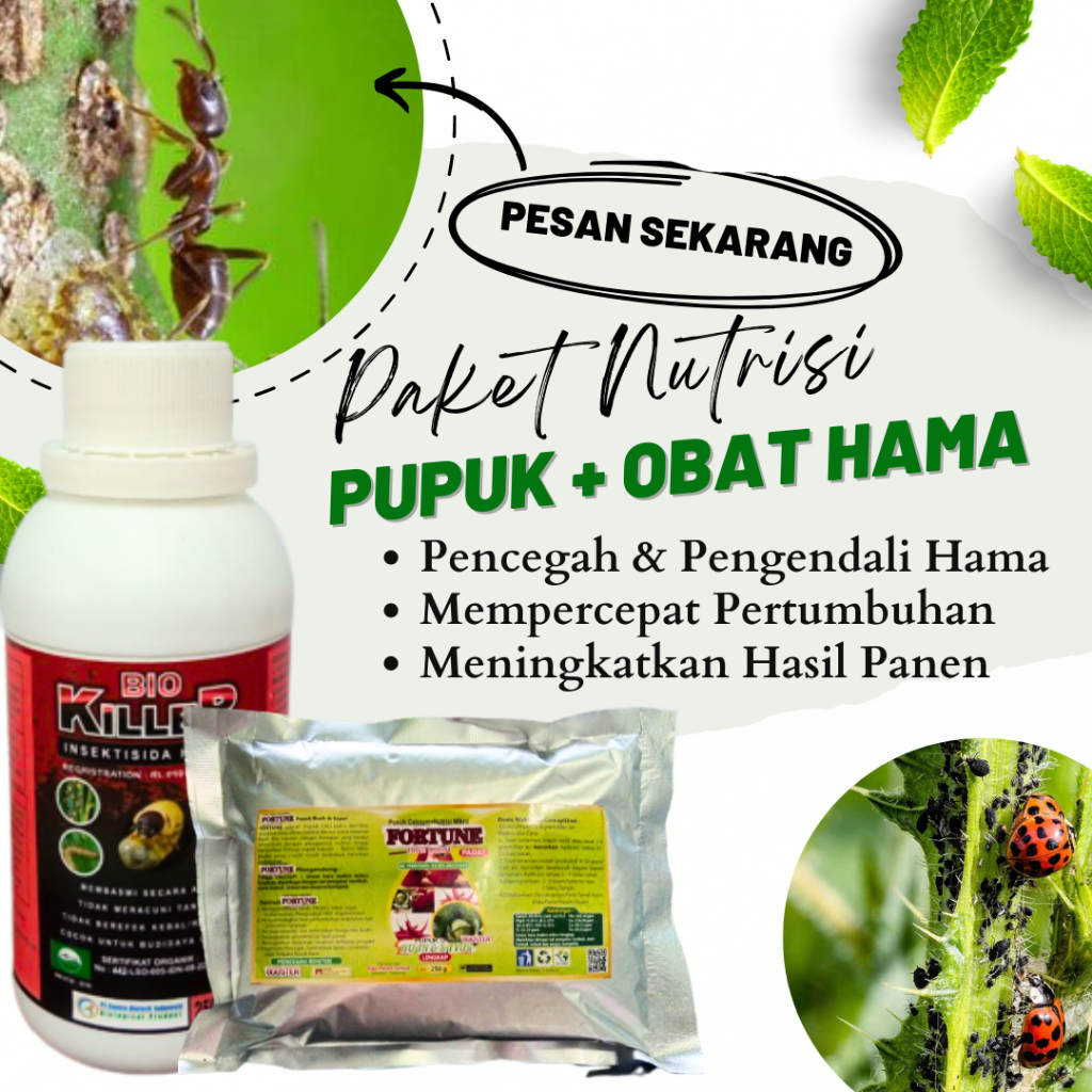 Jual Pupuk Booster Organik Pelebat Buah Pisang, Insektisida Atasi Hama Kutu Thrips Buah Pisang ...