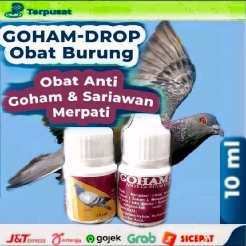 Jual Goham Drop Merpati Plus 10 ml Obat Burung Merpati Sariawan ...