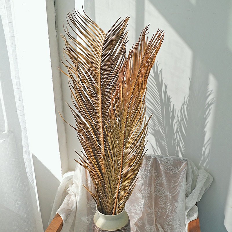 Jual Palem Kering Dried Flowers Palem Dekorasi Rustic Daun Hiasan Buket ...