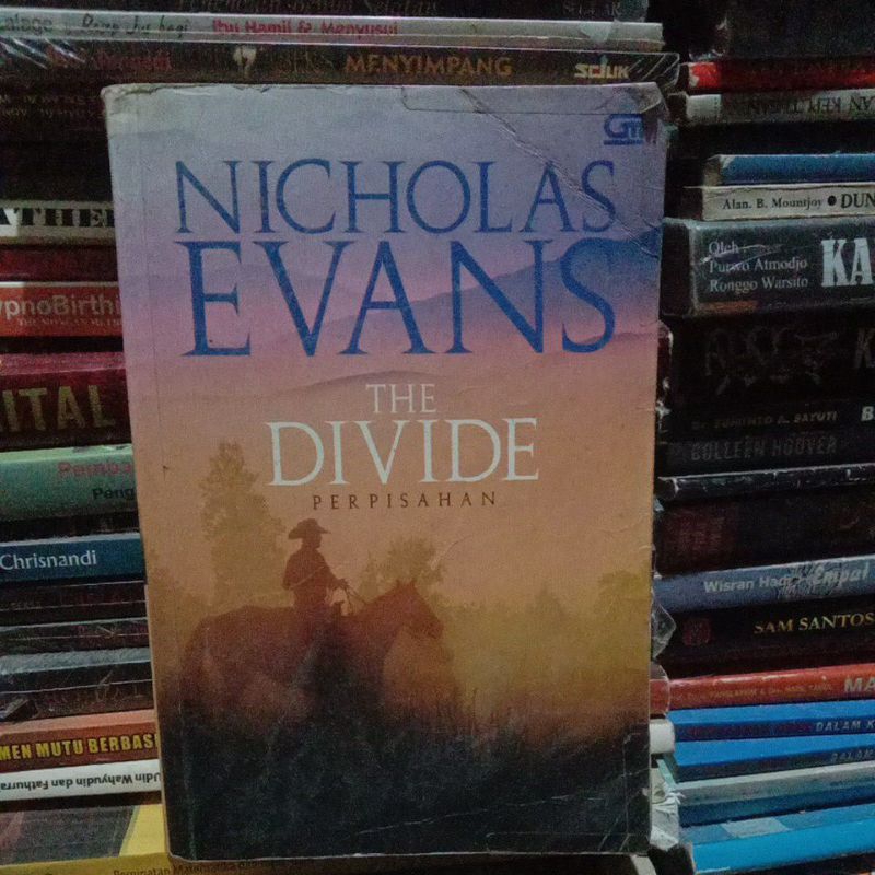 Jual NOVEL: THE DIVIDE PERPISAHAN (ORIGINAL) | Shopee Indonesia