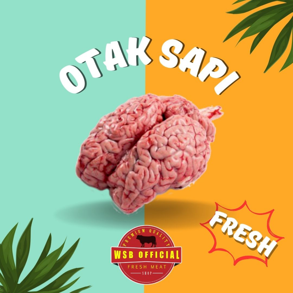 Jual Otak Sapi Lokal Segar Satuan | Shopee Indonesia
