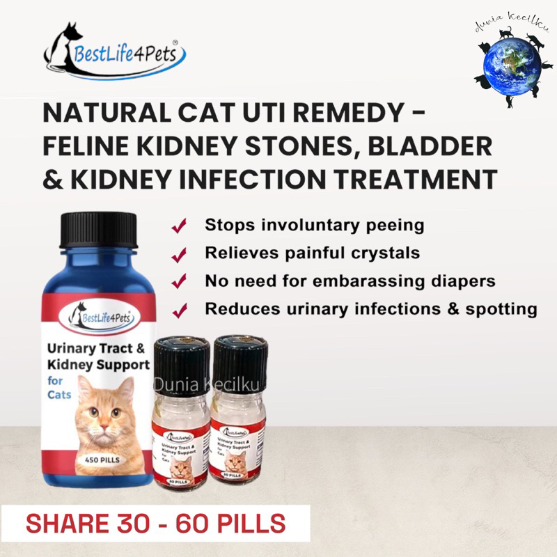 Jual BestLife For Pets Urinary Tract & Kidney / Bladder Best Life Support for Cats | Shopee ...