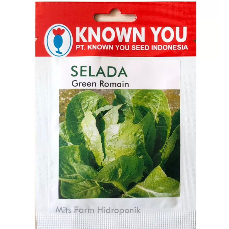 Jual Benih Selada Green Romaine 5 Gram - Known You Seed | Shopee Indonesia
