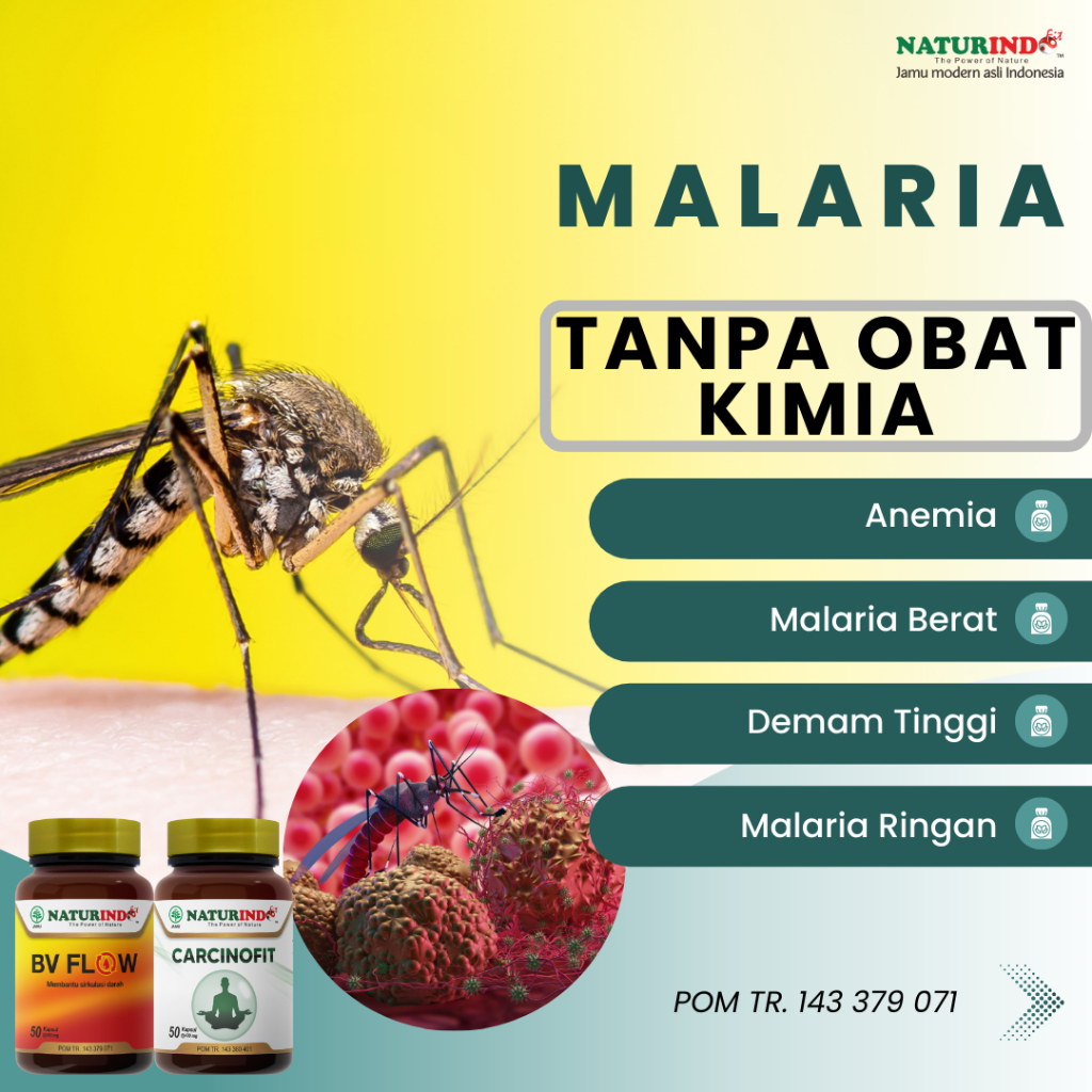 Jual Obat Malaria Ringan Berat Demam Tinggi Anemia Herbal Ampuh ...