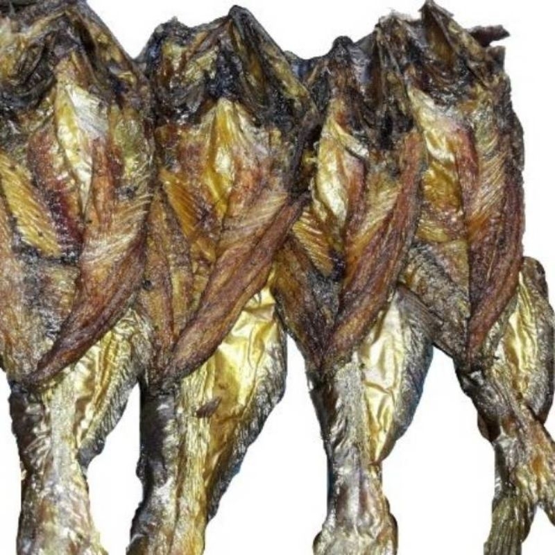 Jual Ikan Salai Patin / Ikan Patin Asap 500gr | Shopee Indonesia