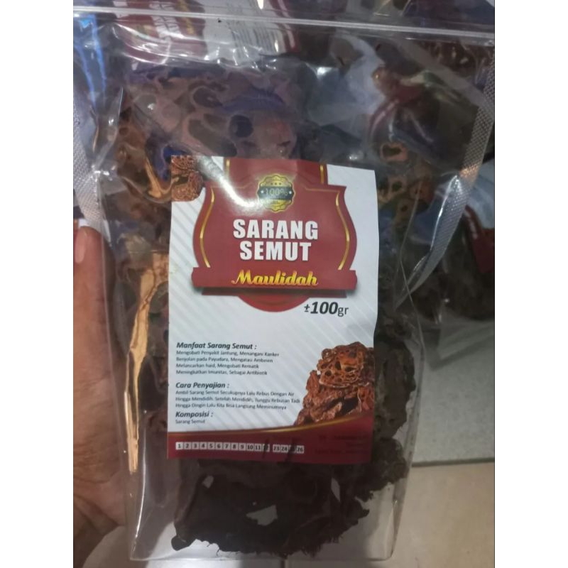 Jual SARANG SEMUT HERBAL ASLI PAPUA ISI 100 GRAM | Shopee Indonesia