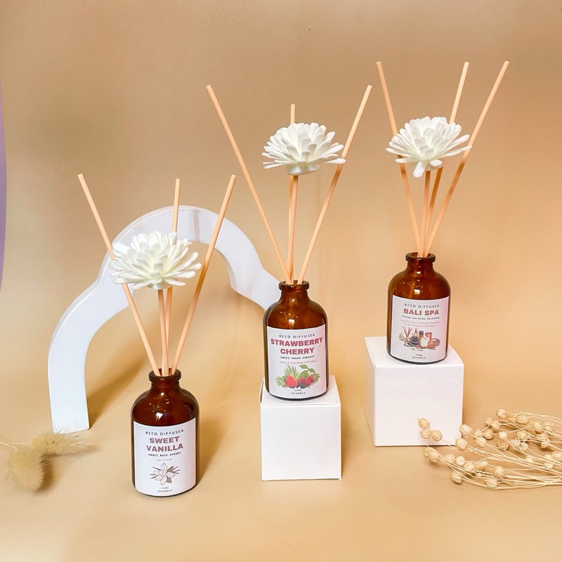 Jual Reed Diffuser 50 ml by DCANDLE | Pengharum Ruangan Tahan Lama Aestetik | Sola Flower ...
