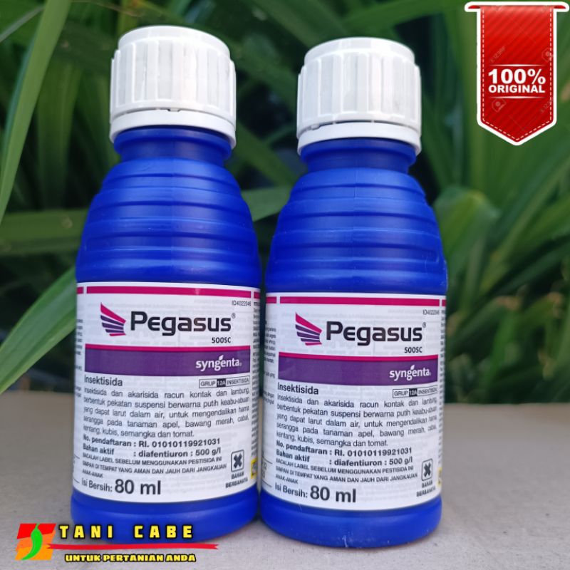 Jual Insektisida PEGASUS 500 sc Original 80 ML | Shopee Indonesia