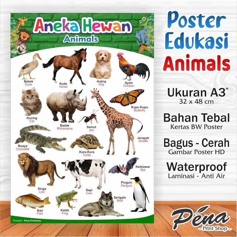 Jual Poster Edukasi Anak / Poster Nama Hewan Animal / Poster Belajar ...