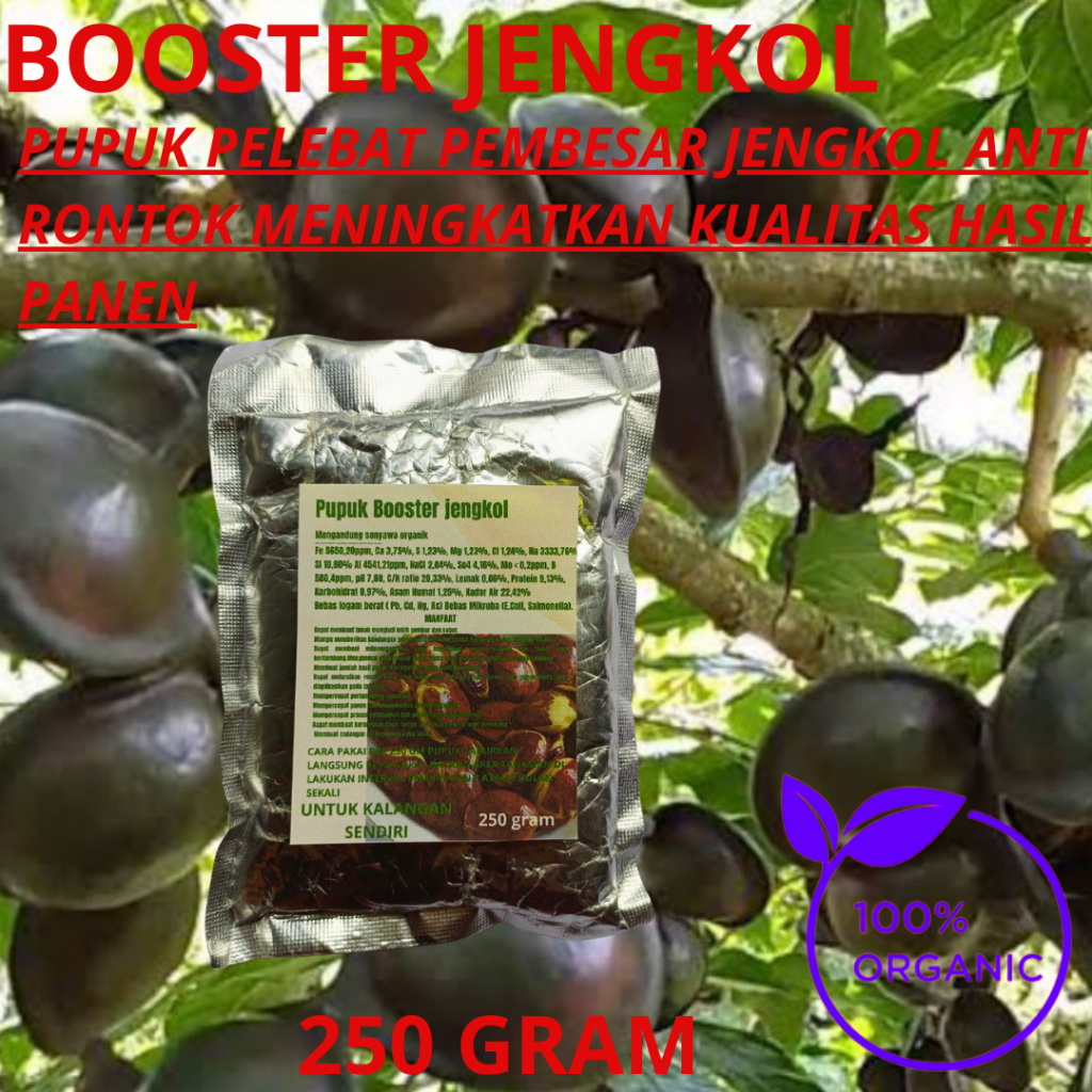 Jual Pupuk booster organik perangsang dan pelebat jengkol agar cepat berbuah tidak mudah rontok ...