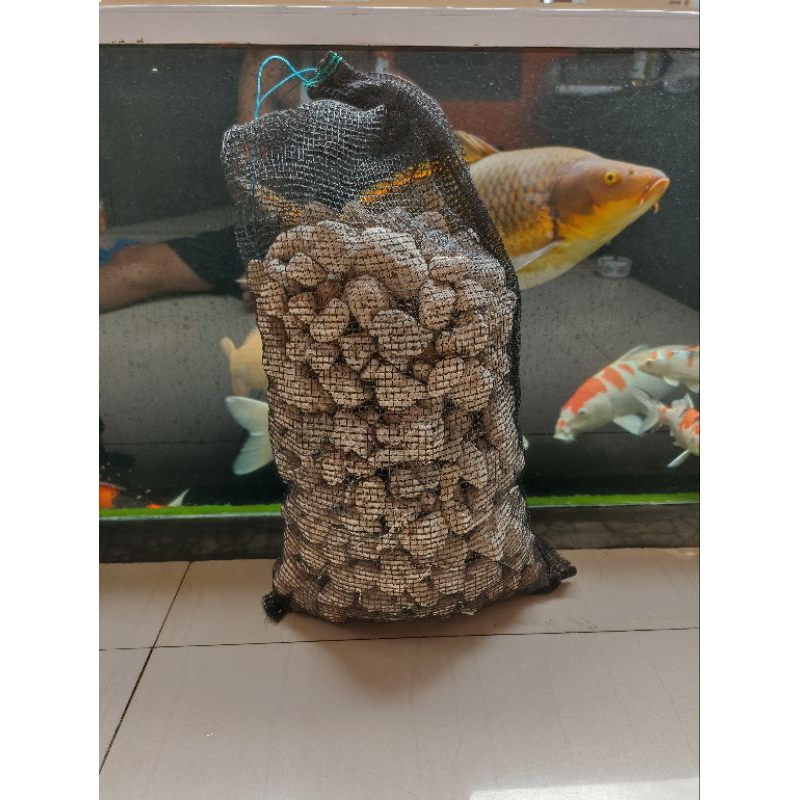 Jual Batu Apung Media Filter 5kg +Kantong / Pumice Stone 5kg | Shopee ...