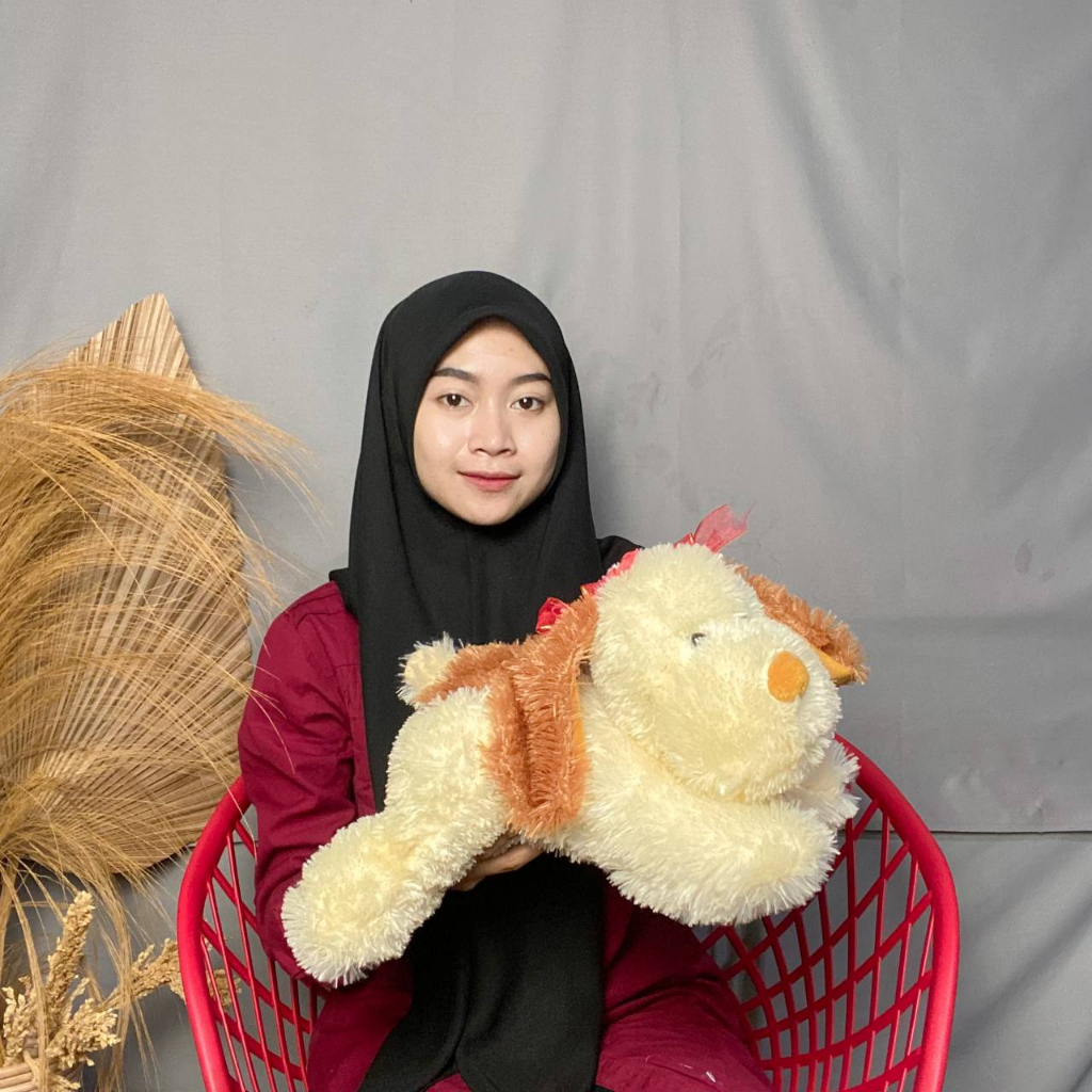 Jual Boneka Dogy Anjing Lucu Bahan Halus SNI/ Boneka dog Poodle Warna ...