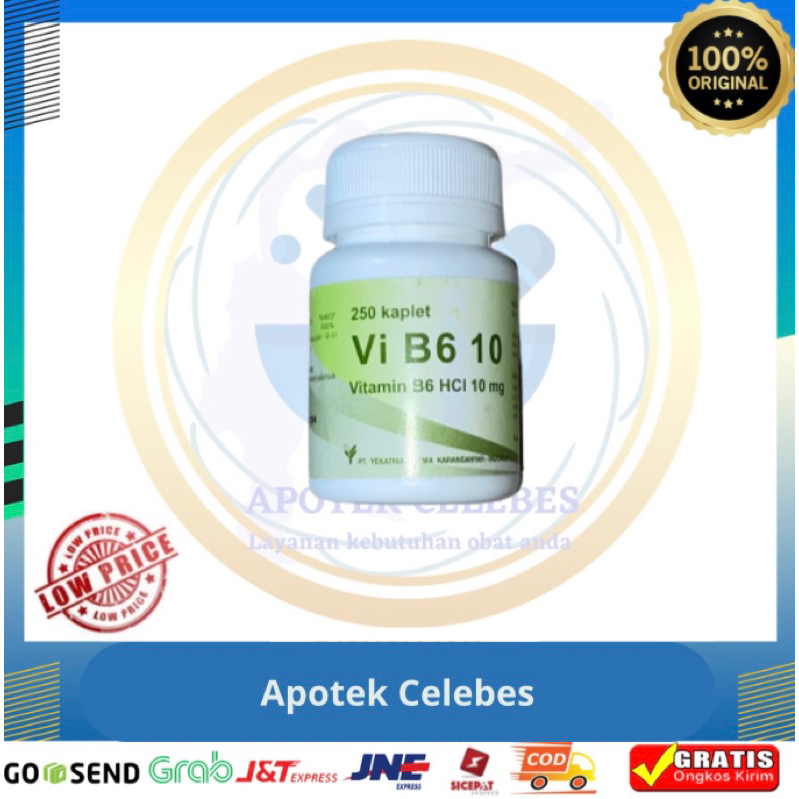 Jual Vit b6 Pot yekatria | Shopee Indonesia