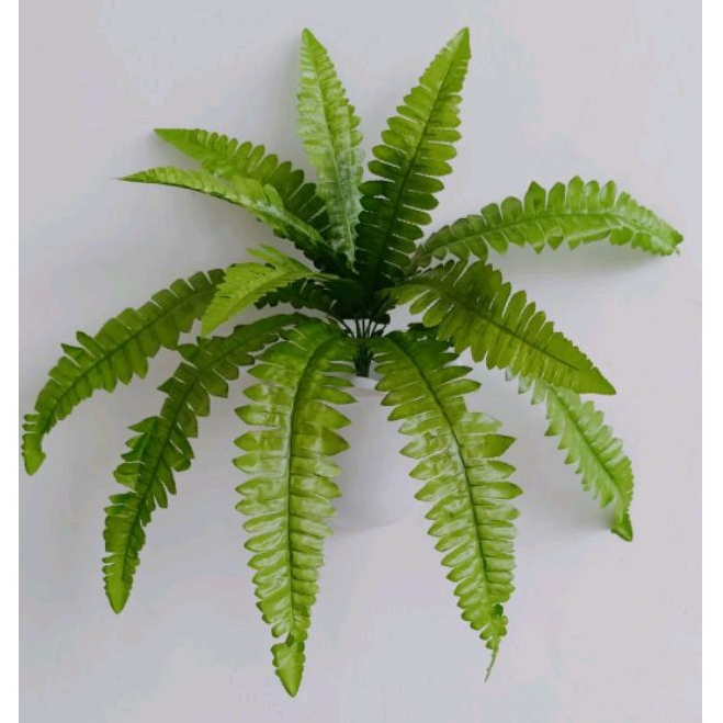 Jual POHON PAKIS BOSTON ARTIFICIAL 12 TANGKAI DENGAN POT DINDING OMBAK ...