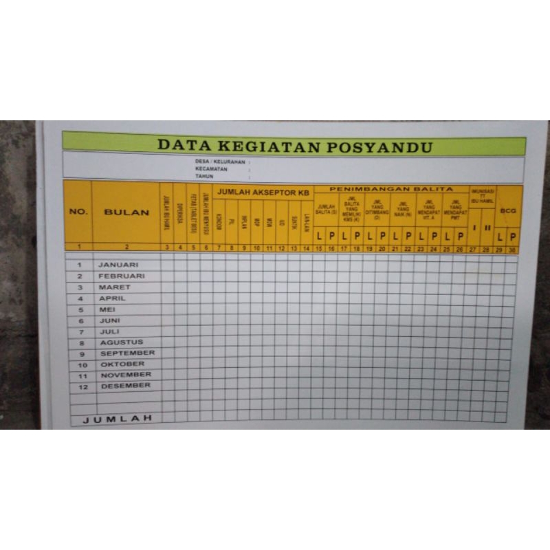 Jual Data Kegiatan Posyandu Shopee Indonesia 