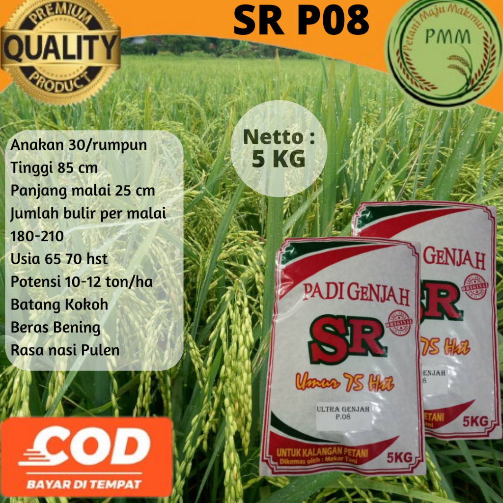 Jual Benih Padi Unggul SR Ultra Genjah P08/SR P08 (5KG) | Shopee Indonesia