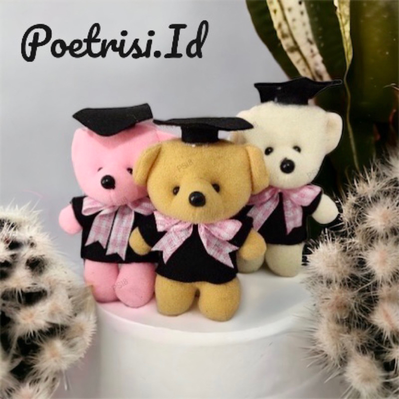 Jual Boneka Wisuda Mini Pita 11cm / Boneka Bucket/Boneka Graduation ...
