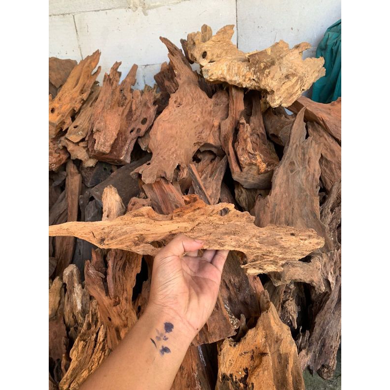 Jual kayu rentek size s hiasan aquarium aquascape paludarium | Shopee ...
