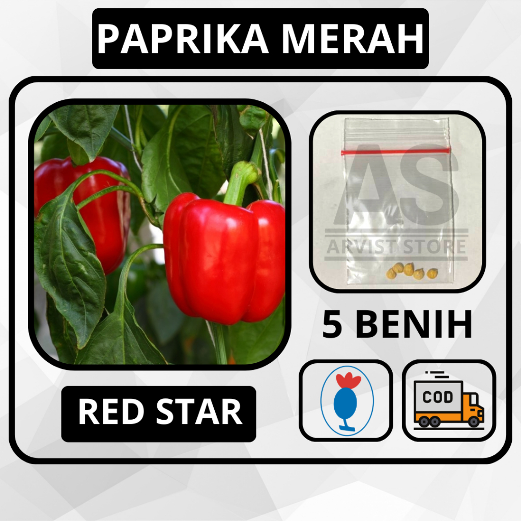 Jual 5 Butir - Benih Paprika Merah RED STAR Known You Seed Bibit ...