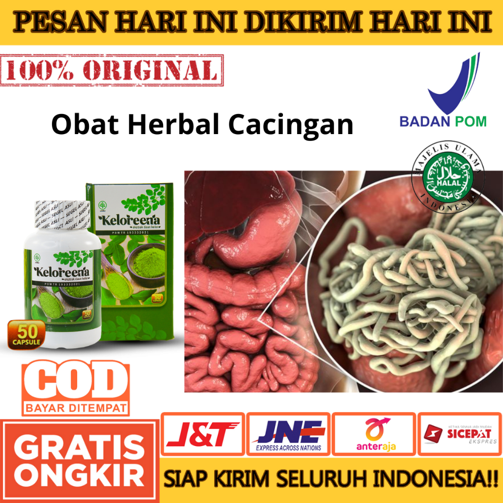 Jual Obat Cacingan, Cacingan Untuk Dewasa & Anak Anak, Cacing Perut ...