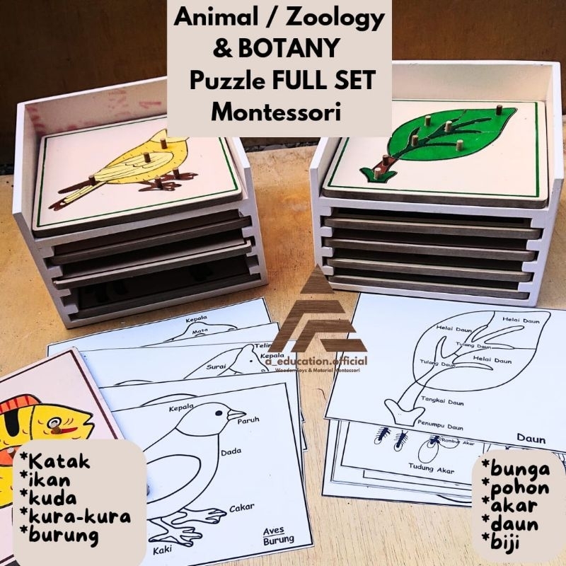 Jual Zoology Botany Puzzle Full Set Puzzle Montesssori Cabinet kabinet ...