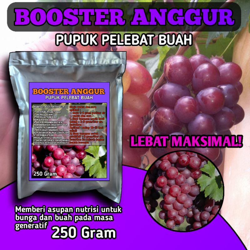 Jual Pupuk booster pelebat buah anggur nutrisi untuk bunga dan buah anti rontok kemasan 250 gram ...