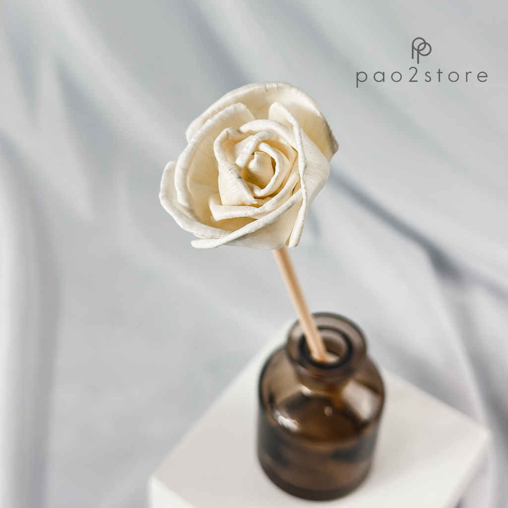 Jual Bunga Reed Diffuser - Sola Flower - Kering / Dried Klobot Wood ...