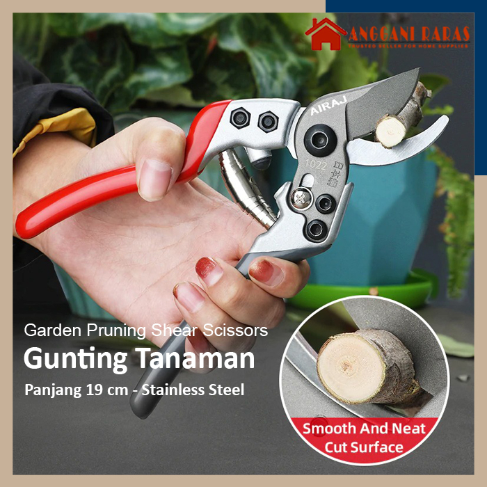Jual Gunting Bonsai Gunting Ranting Dahan Tanaman Hias Anggrek Kembang ...