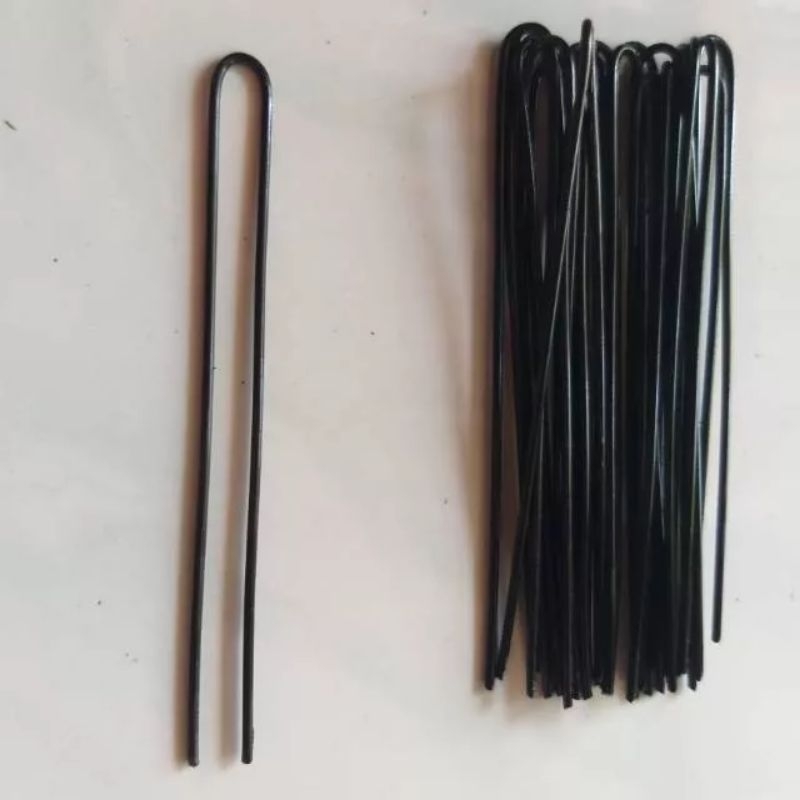 Jual CUCUK SANGGUL / CUCUK HITAM | Shopee Indonesia