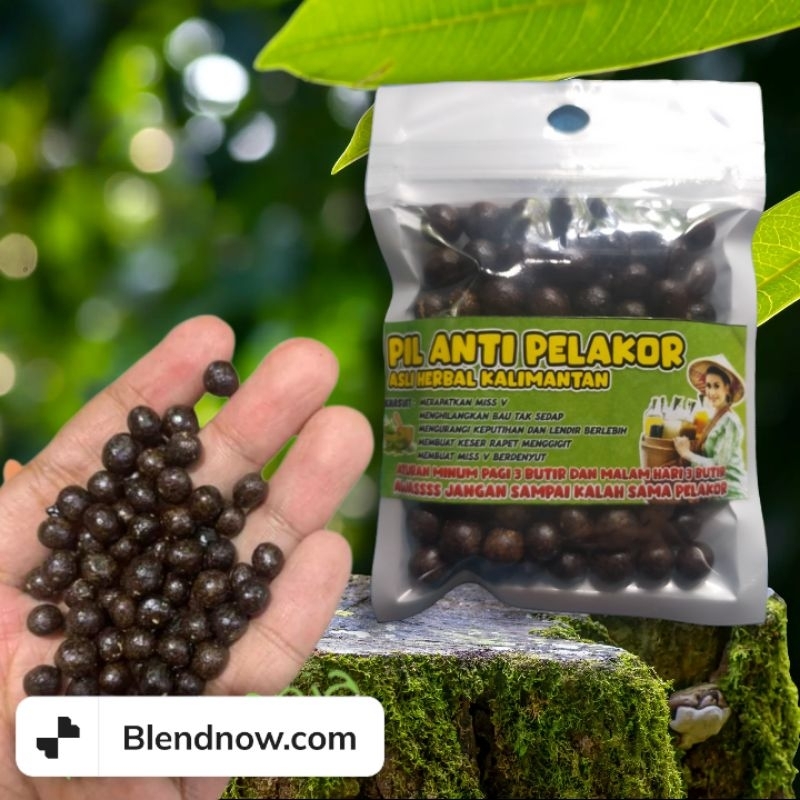 Jual Jamu banjar pil anti pelakor asli kalimantan dayak isi 100 butir ...