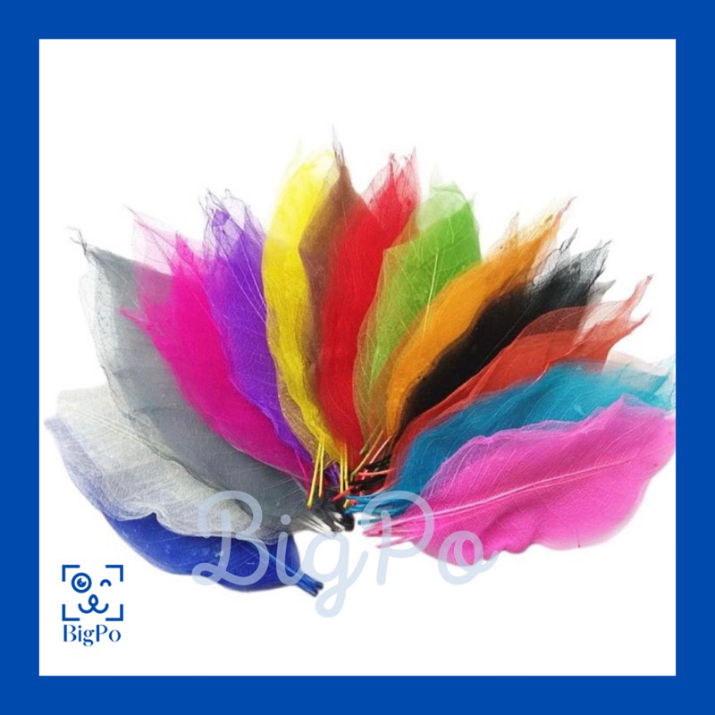 Jual (10 lembar) Kerangka Daun Leaf Skeleton Tulang Daun Rangka Daun ...