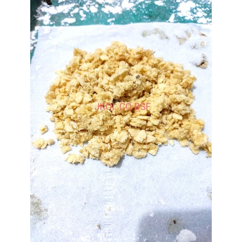Jual Telur BSF Maggot paket 10gram | Shopee Indonesia