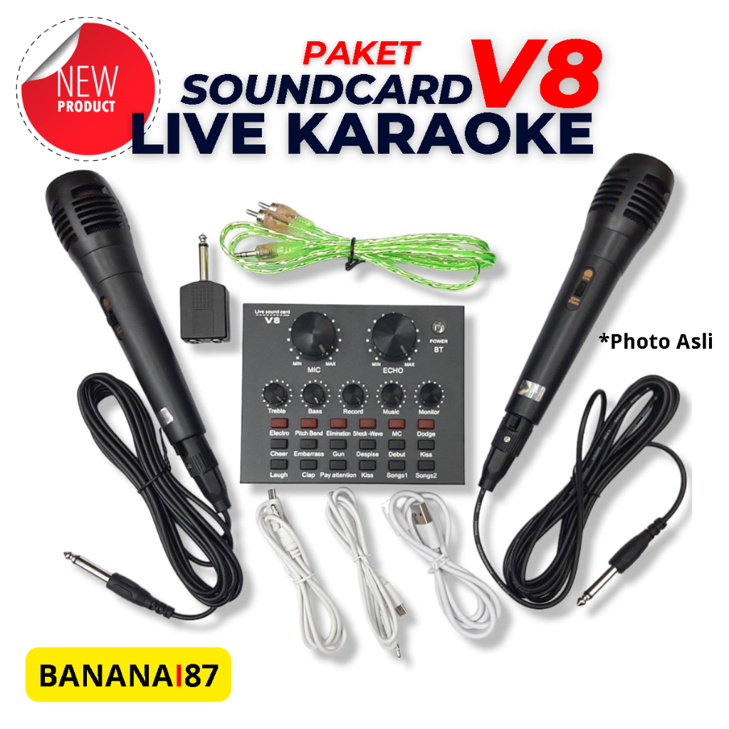Jual Satu Set Lengkap Alat Karaoke Portable Bluetooth Audio USB ...