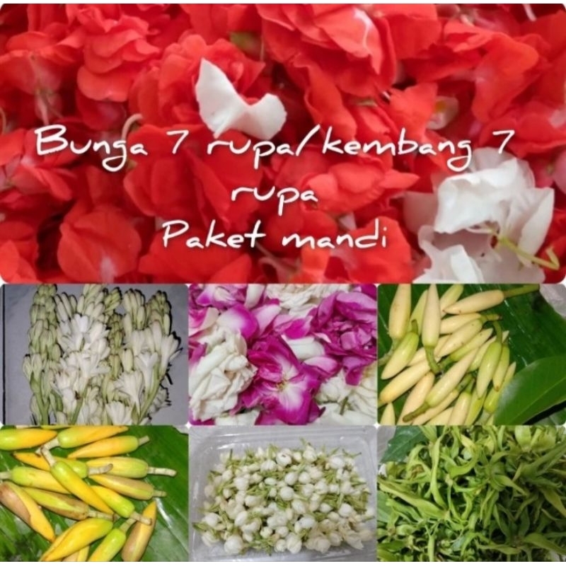 Jual Kembang 7 rupa ( paket mandi ) | Shopee Indonesia