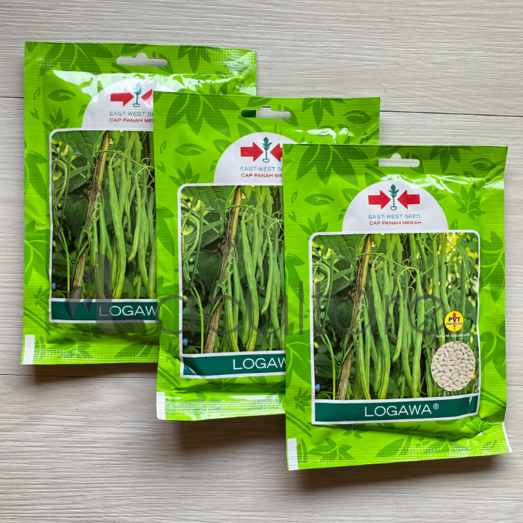 Jual Benih Buncis LOGAWA Isi 225 Butir Cap Panah Merah | Shopee Indonesia