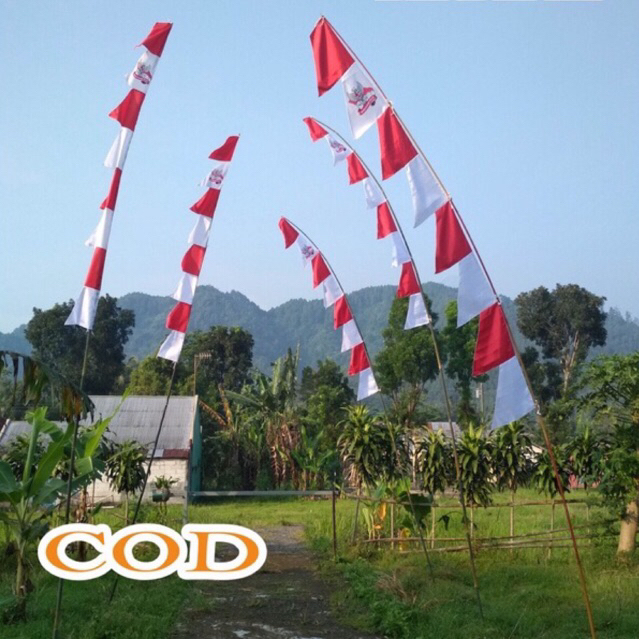 Jual BENDERA UMBUL-UMBUL MERAH PUTIH ZIG-ZAG 8 MATA GARUDA | Shopee Indonesia