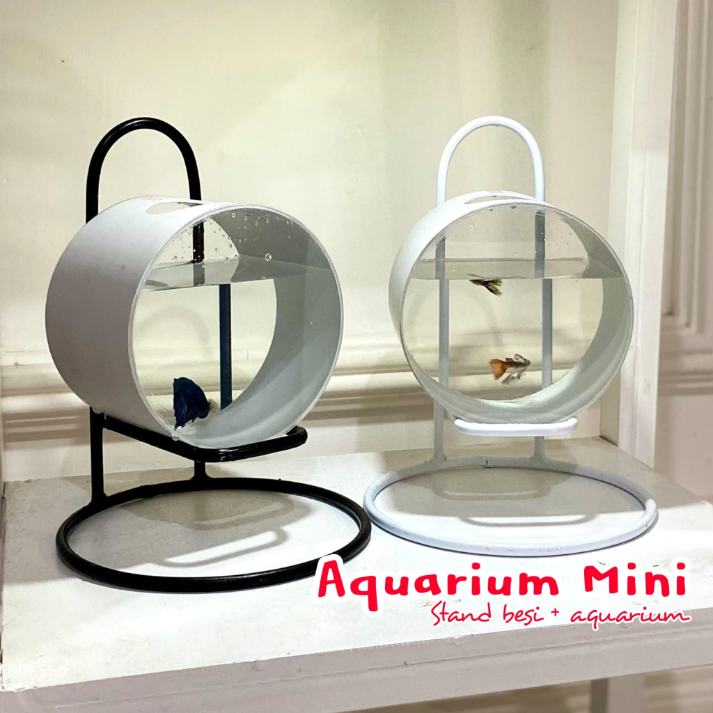 Jual stand aquarium mini | lengkap stand besi plus aquarium | Shopee ...
