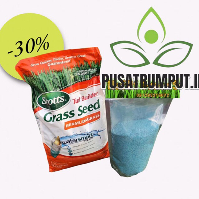 Jual Benih rumput golf 1kg / bermuda grass turf bulider scotts / biji ...