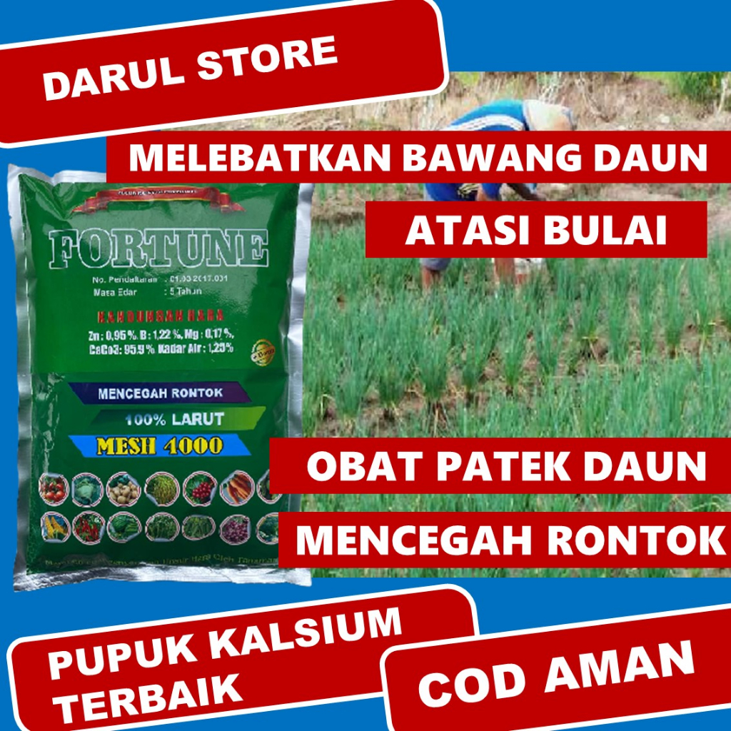 Jual (100% ORIGINAL)Pupuk Bawang DAUN Terbaik, 1 Kg Fortune Obat ...