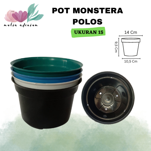 Jual Pot Monstera 15 Polos | Pot Adenium Polos | Pot Plastik Polos ...