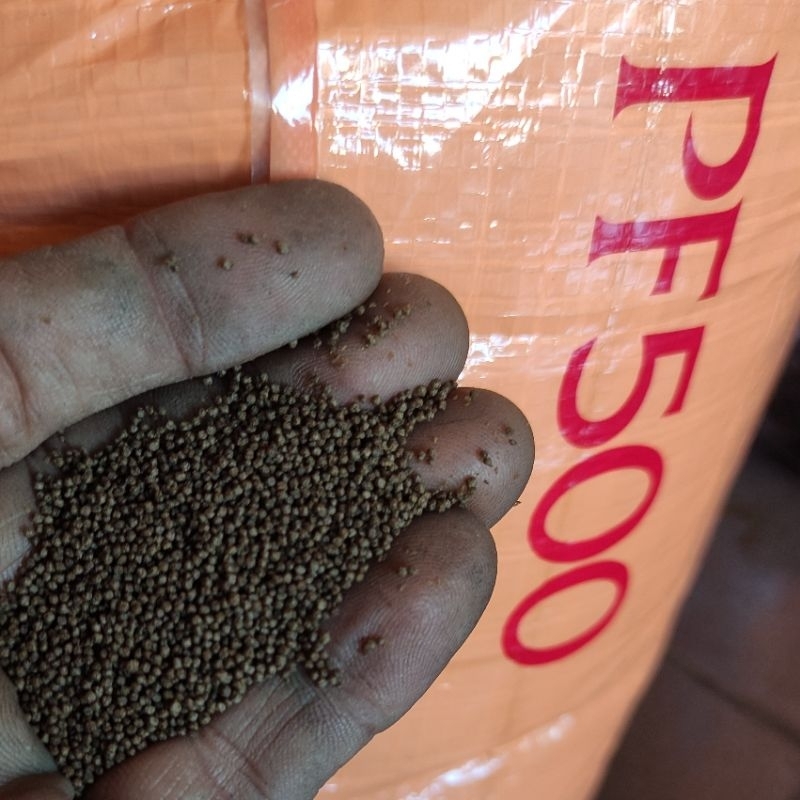 Jual pf500 pf 500 repack pakan ikan micro pellet 0,5mm 250gram | Shopee ...