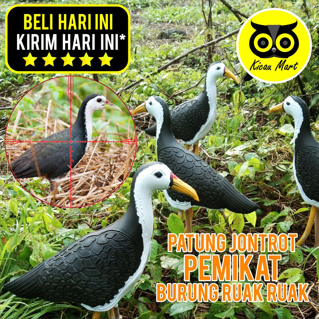 Jual Pemikat Burung Ruak Kareo Wakwak Truwok Patung Jontrot Alat Pikat ...