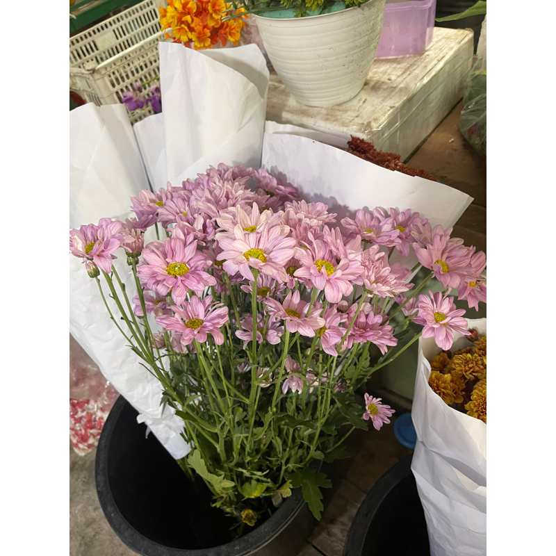 Jual bunga tangkai (per 1 tangkai) | Shopee Indonesia