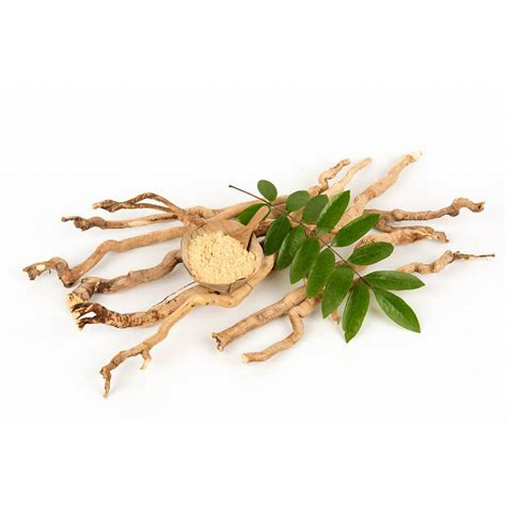 Jual Akar Pasak Bumi Bubuk (100 gram ) / Tongkat Ali Root Powder | Shopee Indonesia