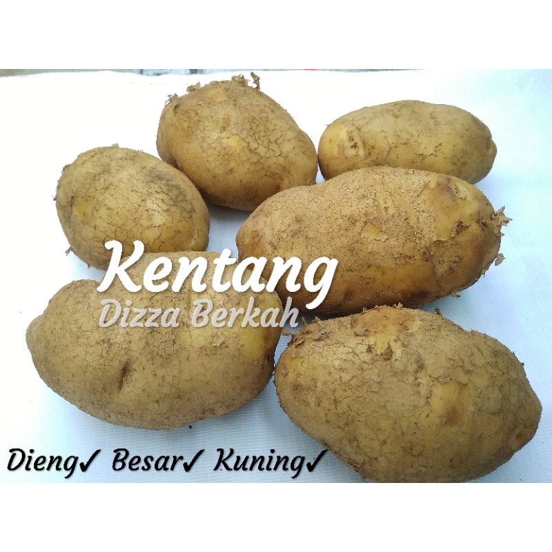 Jual Kentang/500gr/Pilihan/Bagus/Fresh/Dizza Berkah | Shopee Indonesia