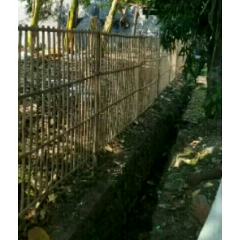 Jual Pasang bambu pagar | Shopee Indonesia