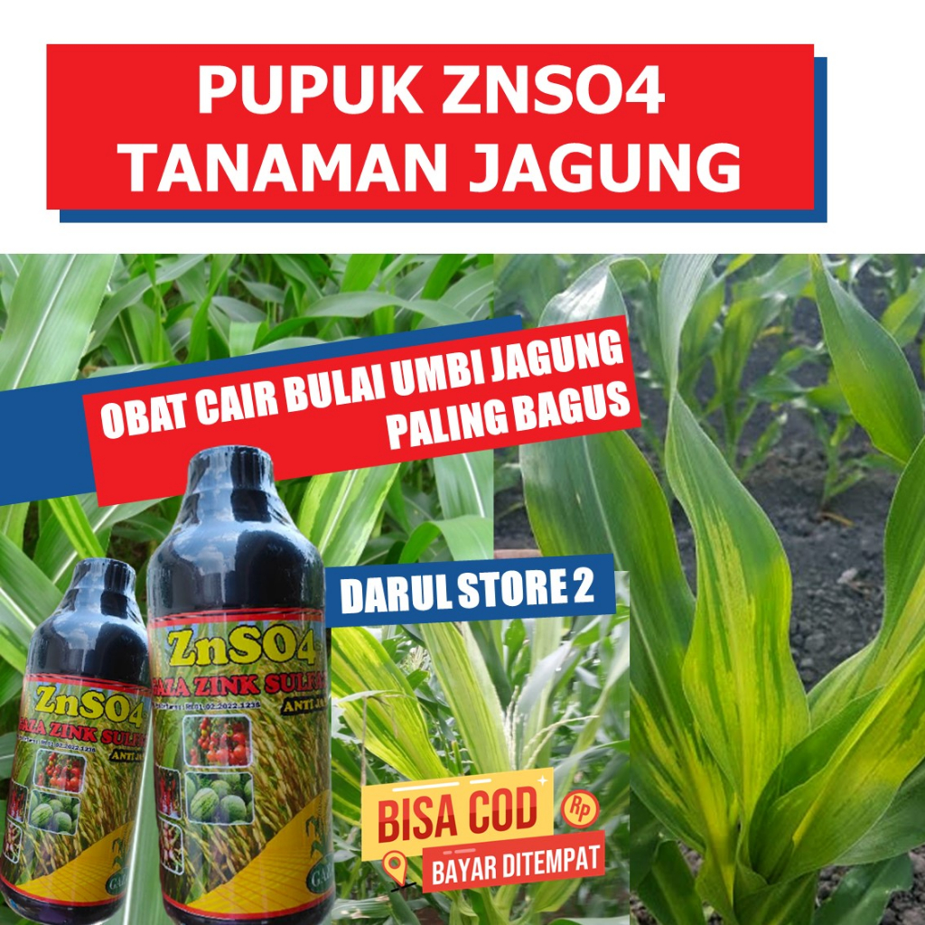 Jual 500 ml ZNSO Pupuk Mencegah Penyakit Bulai Daun Jagung - Obat ...